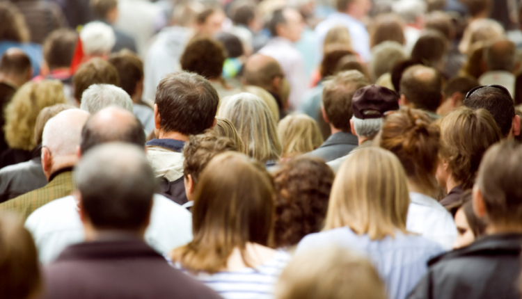 How wise are crowds? - IDSS