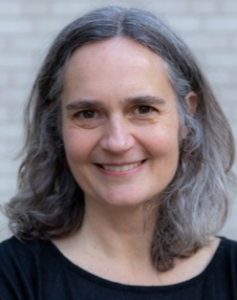 ICSR Project Teams - IDSS