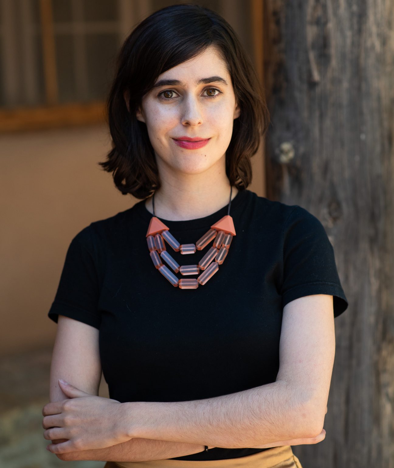 ICSR Project Teams - IDSS