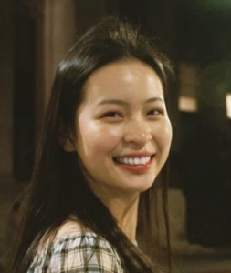 ICSR Project Teams - IDSS