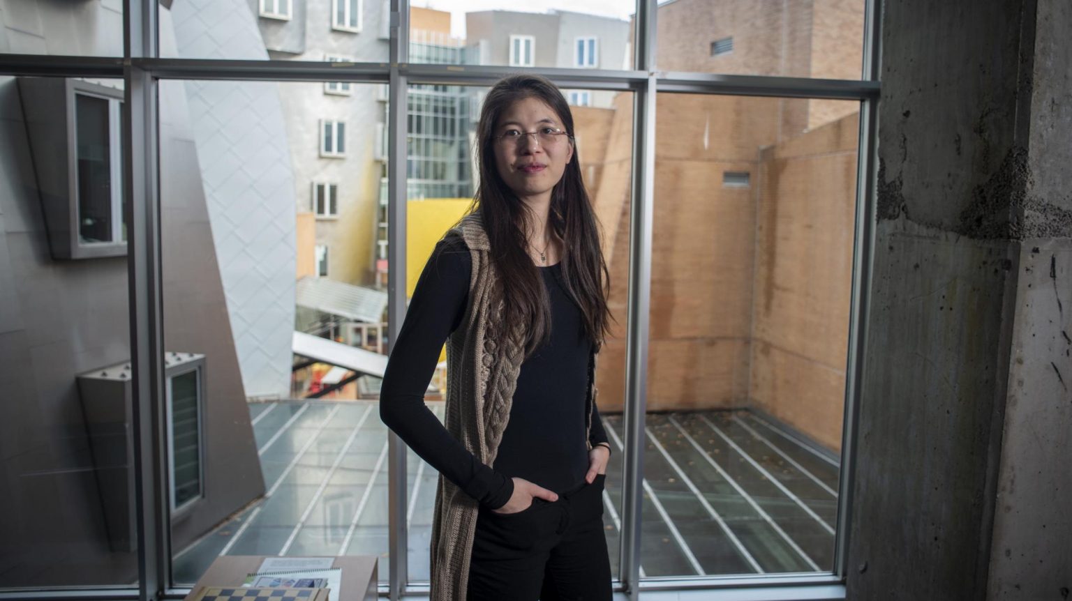 The curse of variety - IDSS