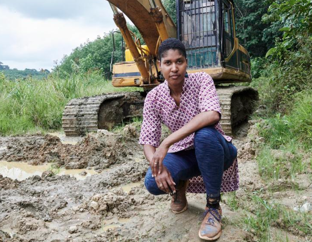 In Nature World View article, Professor Danielle Wood calls for ...